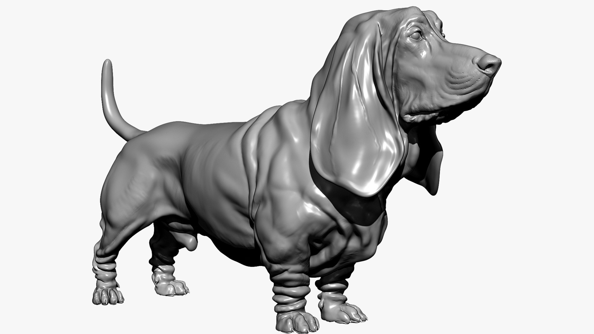 Basset Hound Dog Model - TurboSquid 1668286