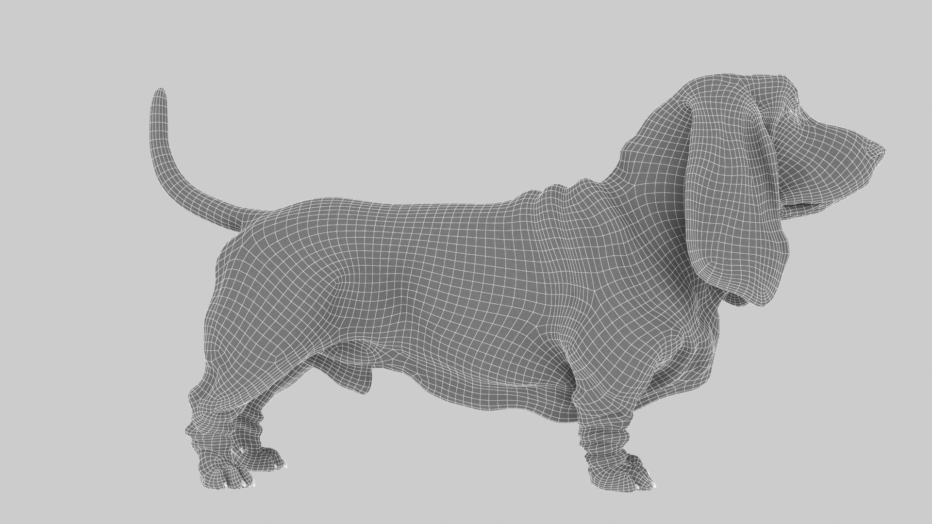 Basset Hound Dog Model - TurboSquid 1668286
