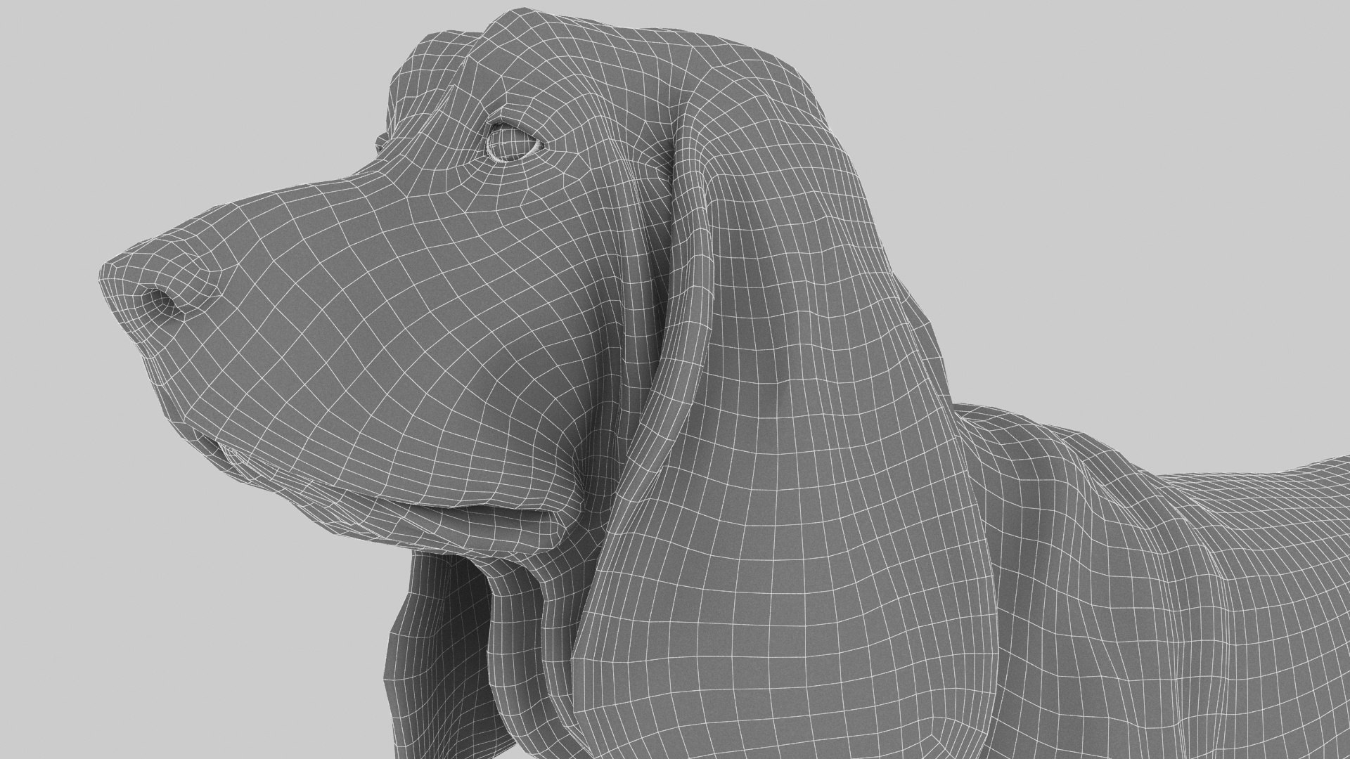 Basset Hound Dog Model - TurboSquid 1668286