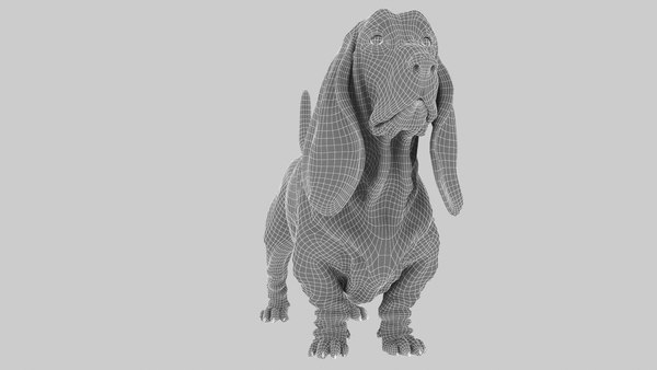 Basset hound dog model - TurboSquid 1668286