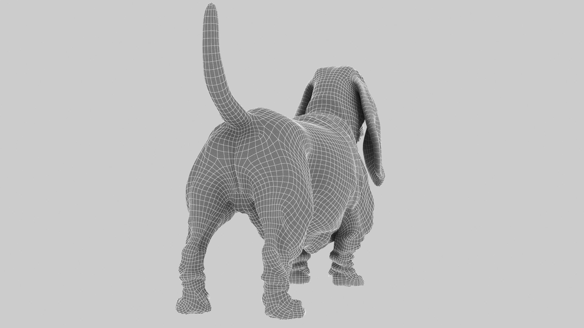 Basset Hound Dog Model - TurboSquid 1668286