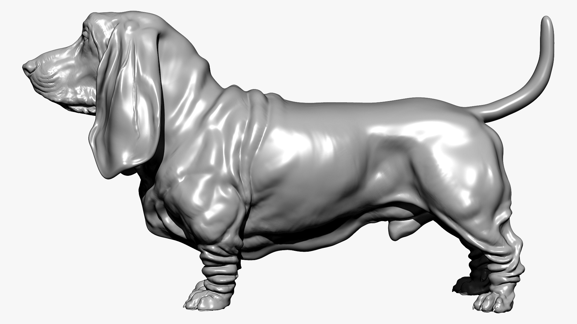 Basset Hound Dog Model - TurboSquid 1668286