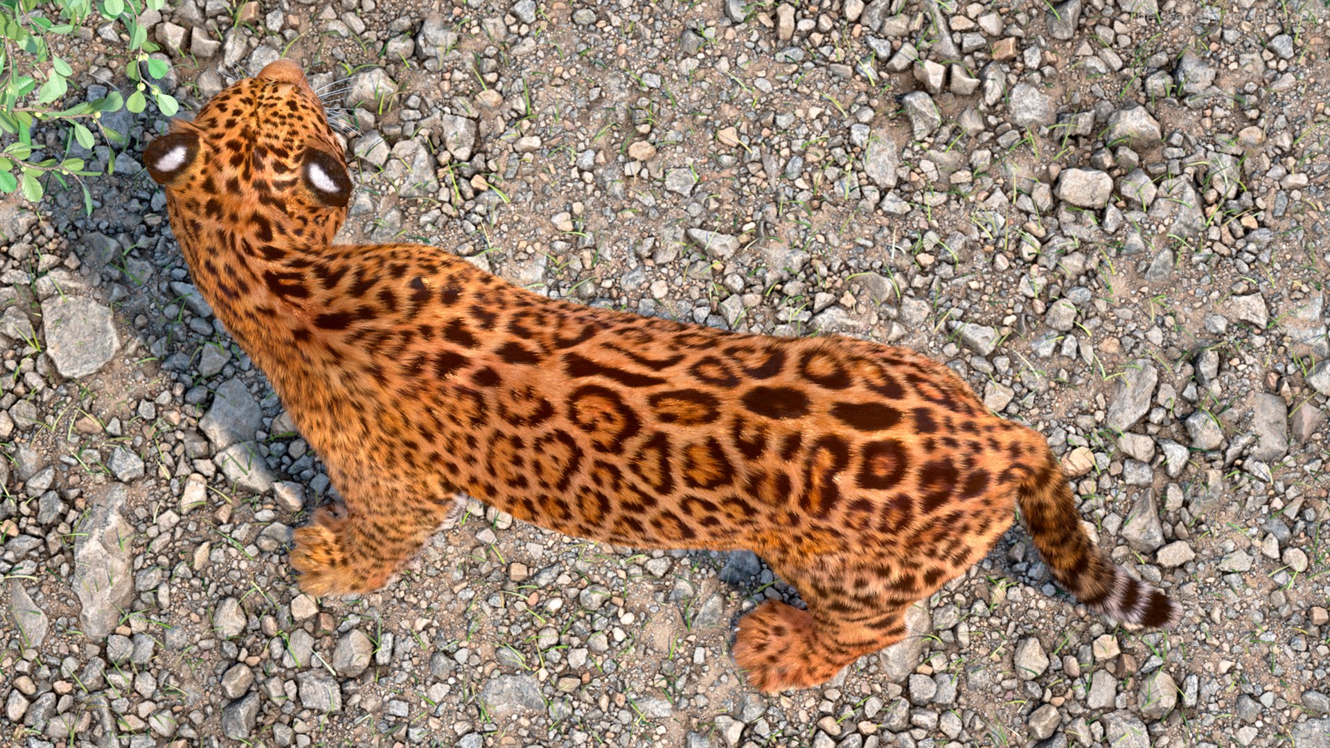 Jaguar Stand Pose Fur Model - TurboSquid 2211471