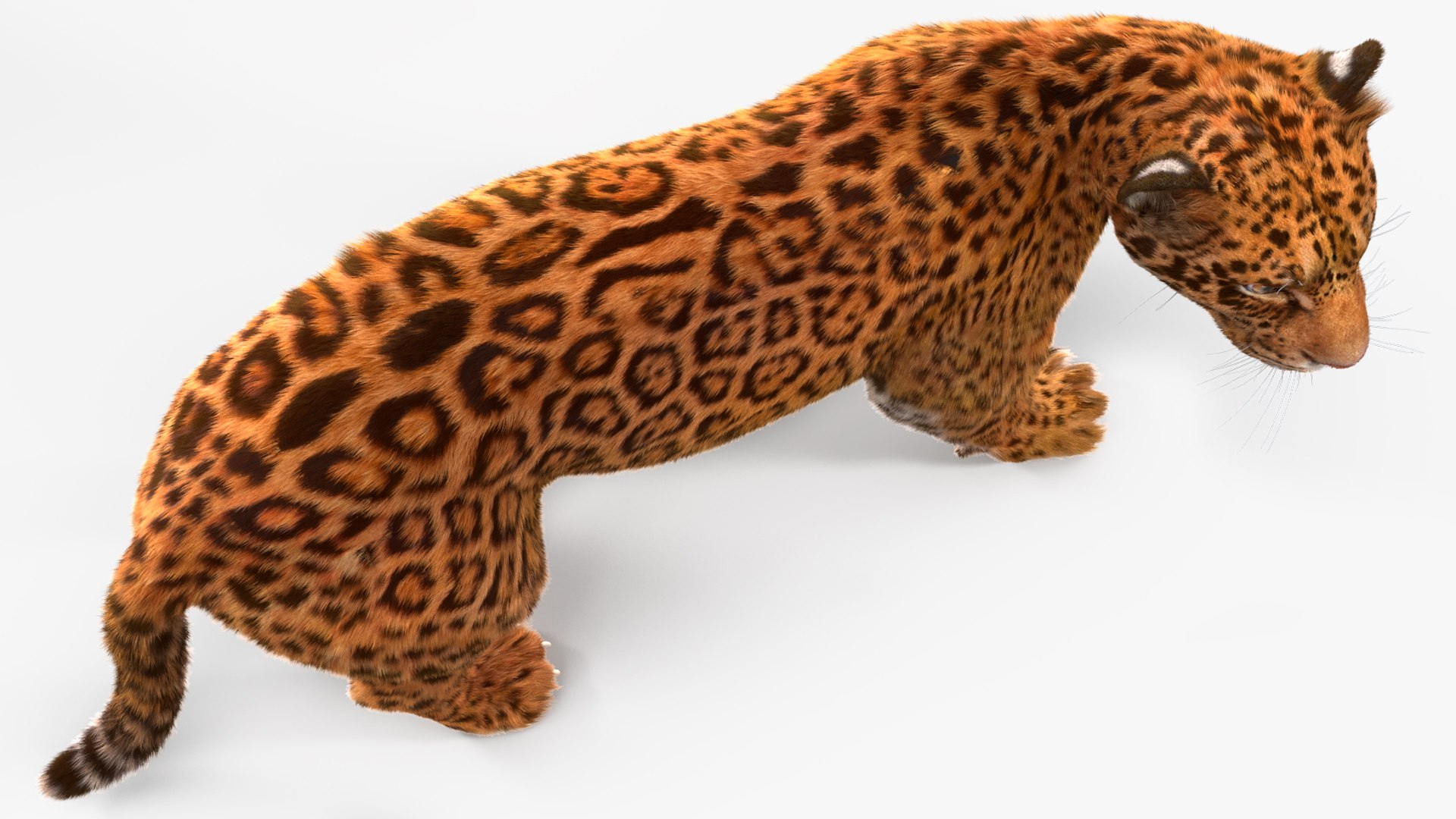 Jaguar Stand Pose Fur Model - TurboSquid 2211471