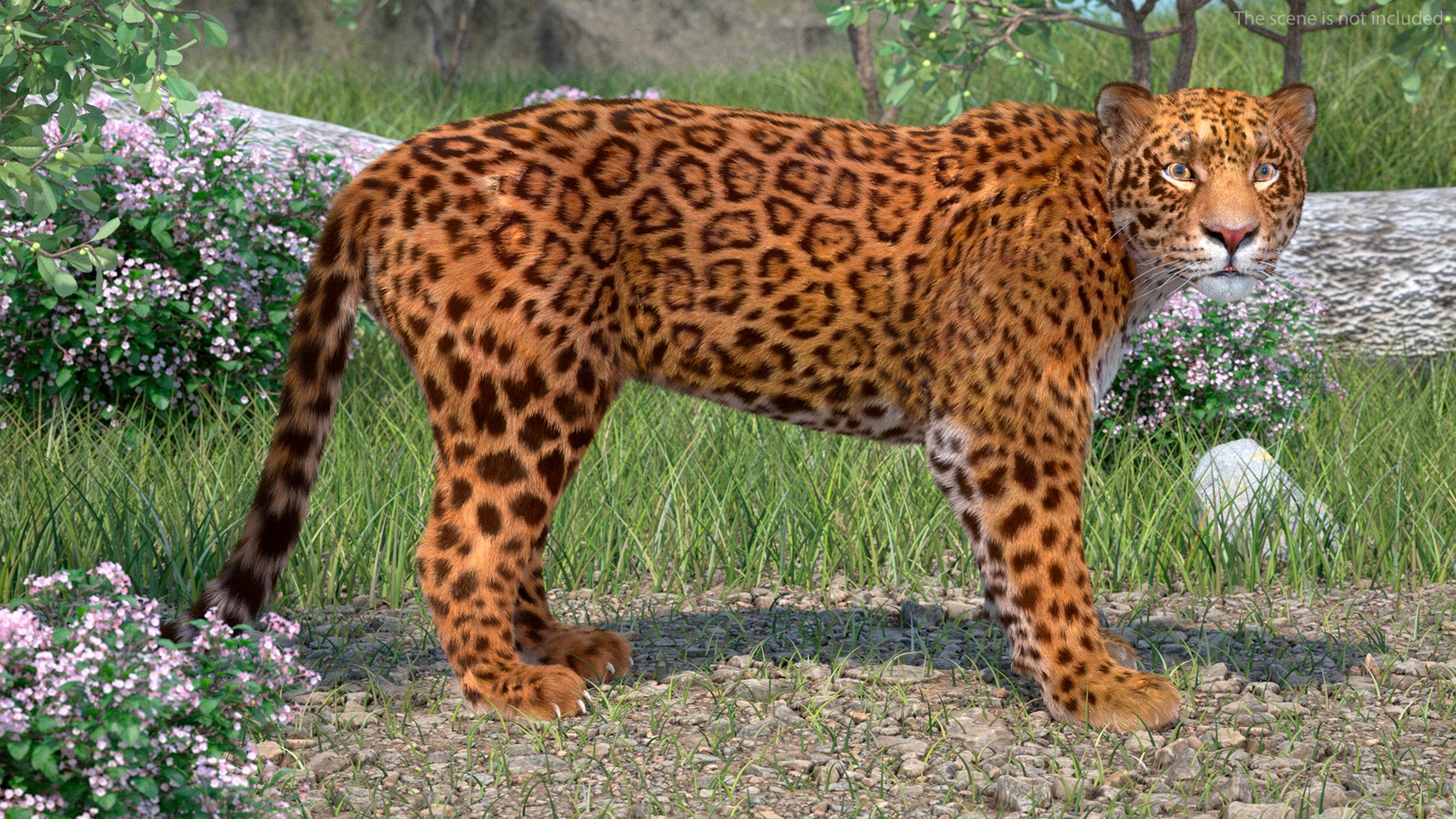 Jaguar Stand Pose Fur Model - TurboSquid 2211471