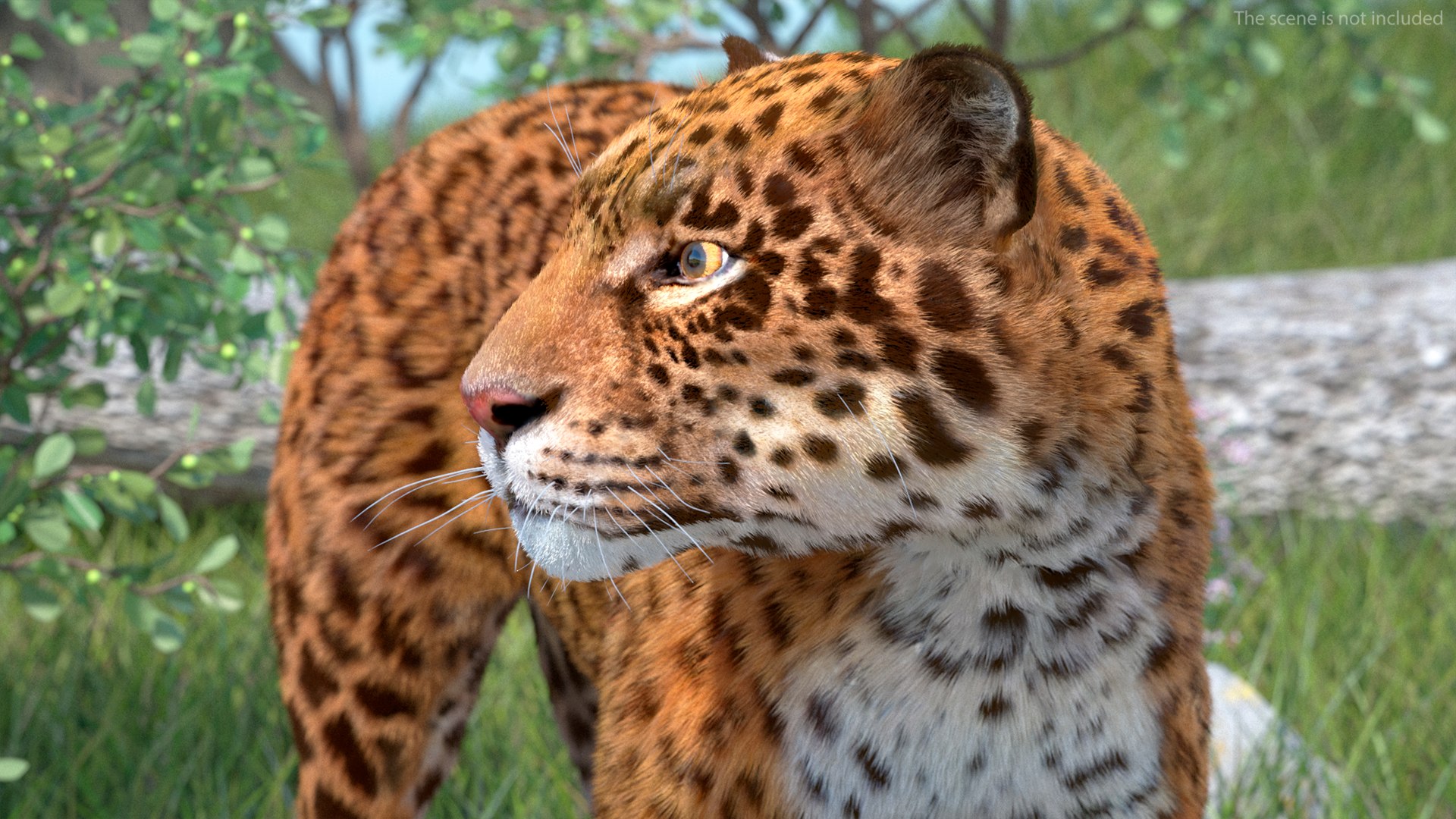 Jaguar Stand Pose Fur Model - TurboSquid 2211471