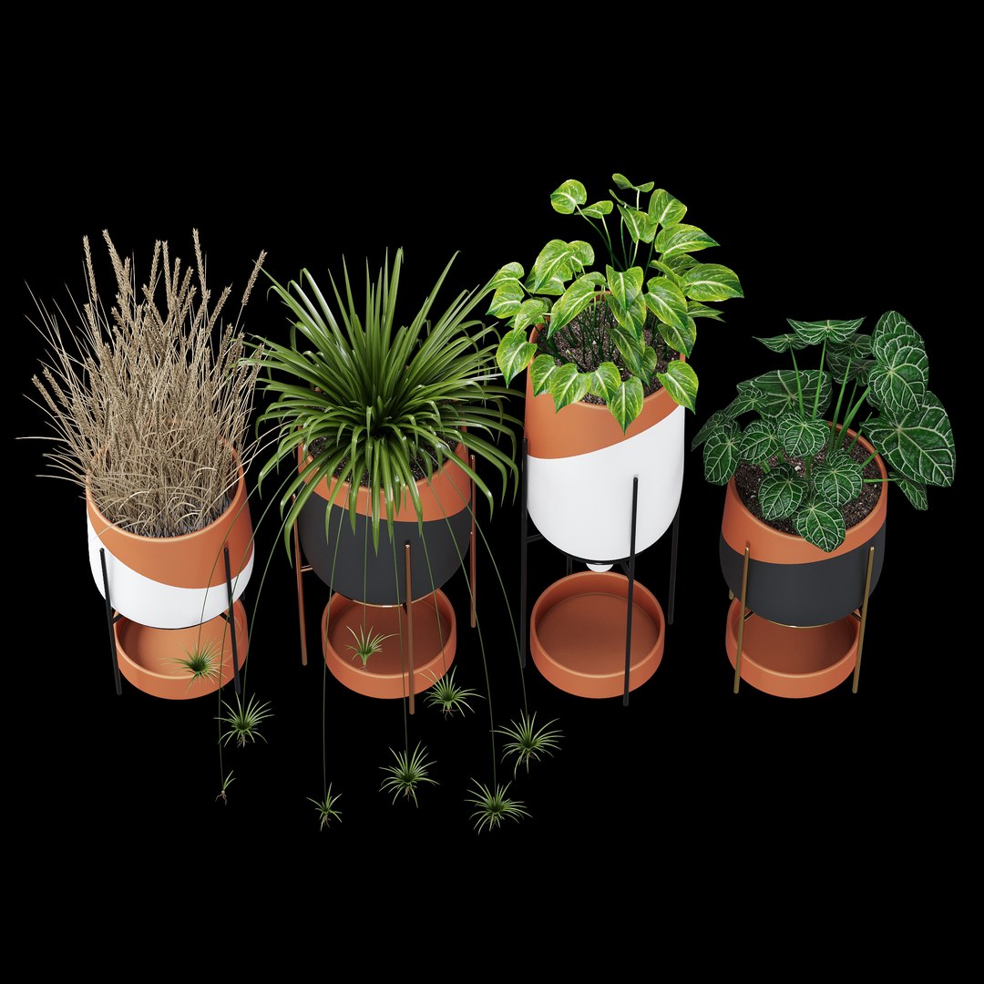 Tabletop Pot 3D Model - TurboSquid 1465865