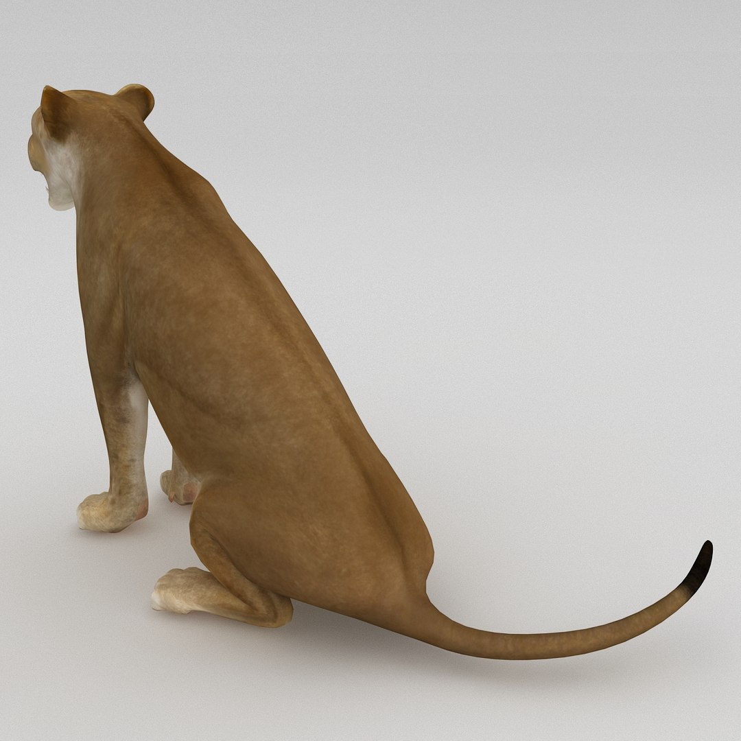 3d Model Of Lioness Rigged