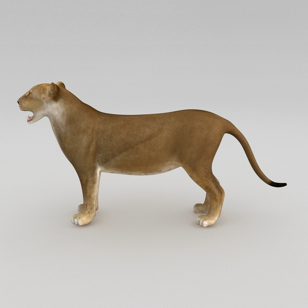 3d Model Of Lioness Rigged
