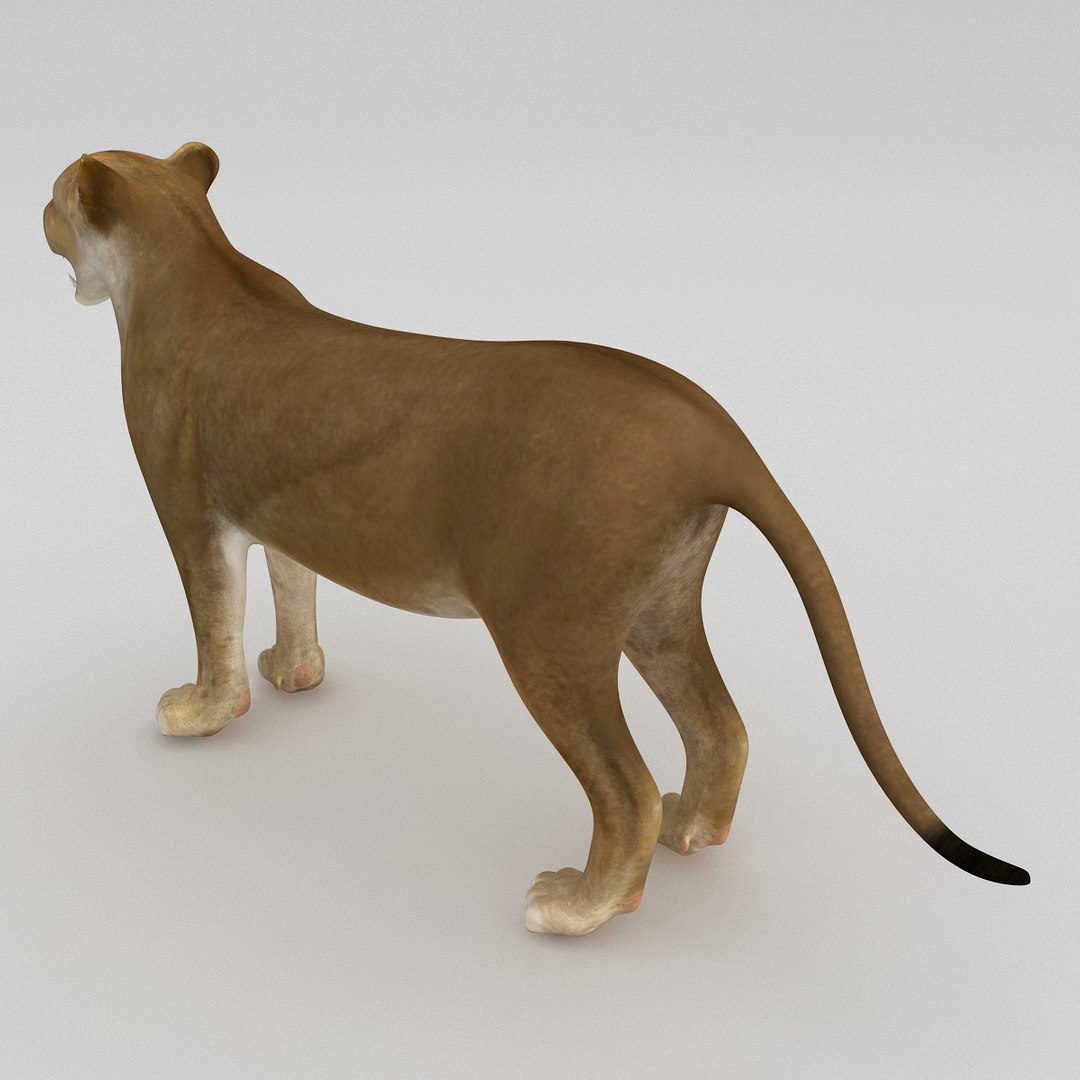 3d Model Of Lioness Rigged