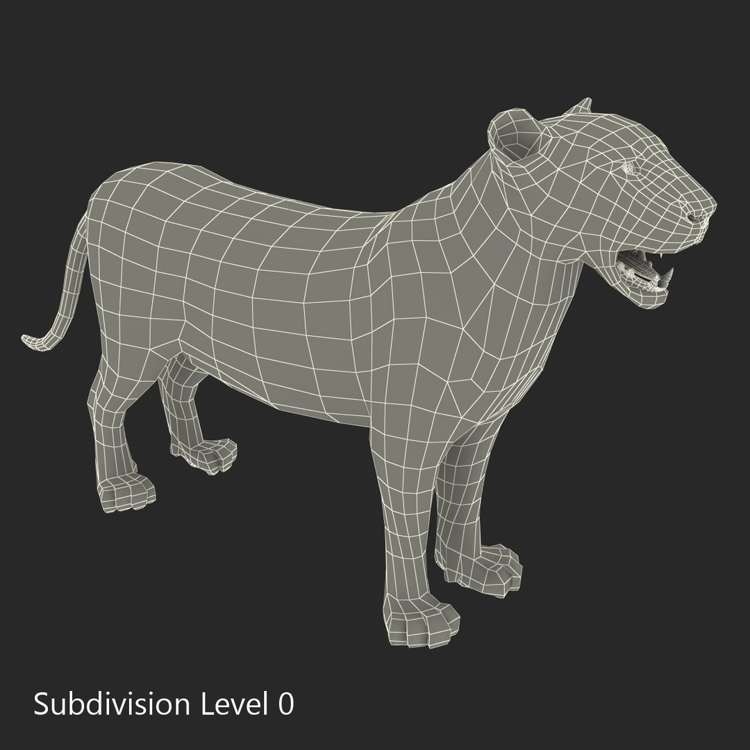 3d Model Of Lioness Rigged