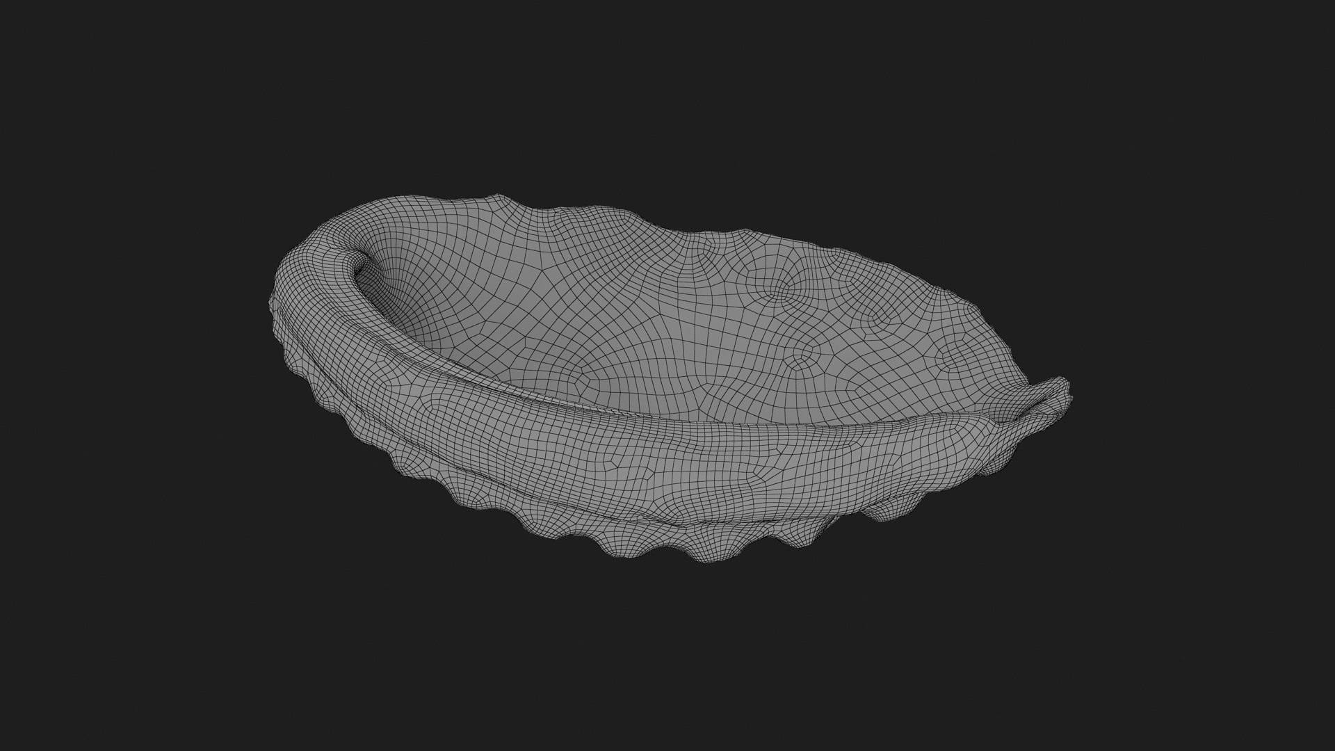 Abalone Shell 01 3D Model - TurboSquid 2328374