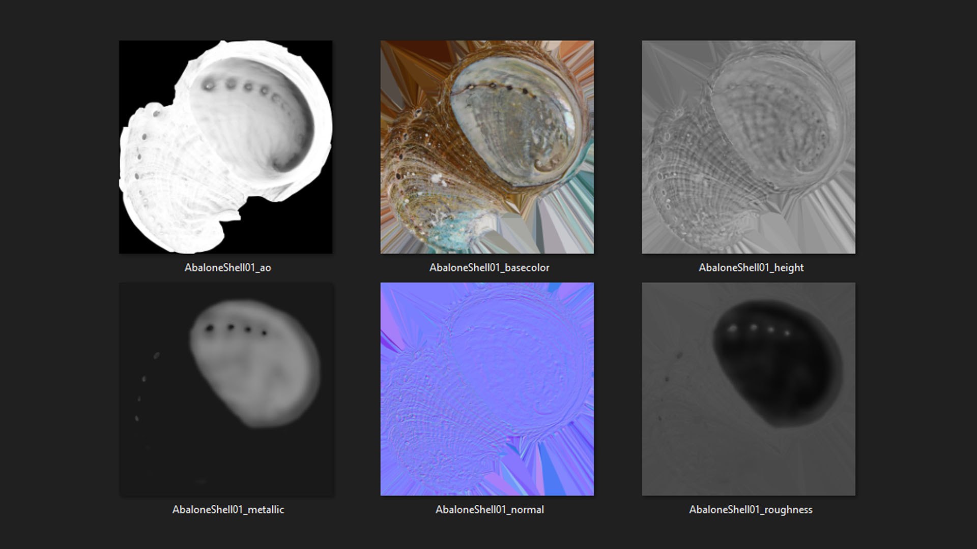 Abalone Shell 01 3D Model - TurboSquid 2328374