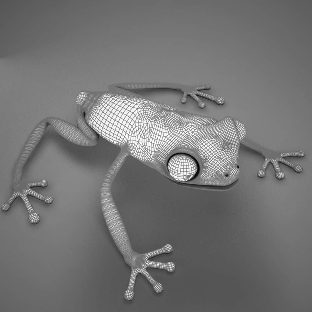 frog biped morph 3d model