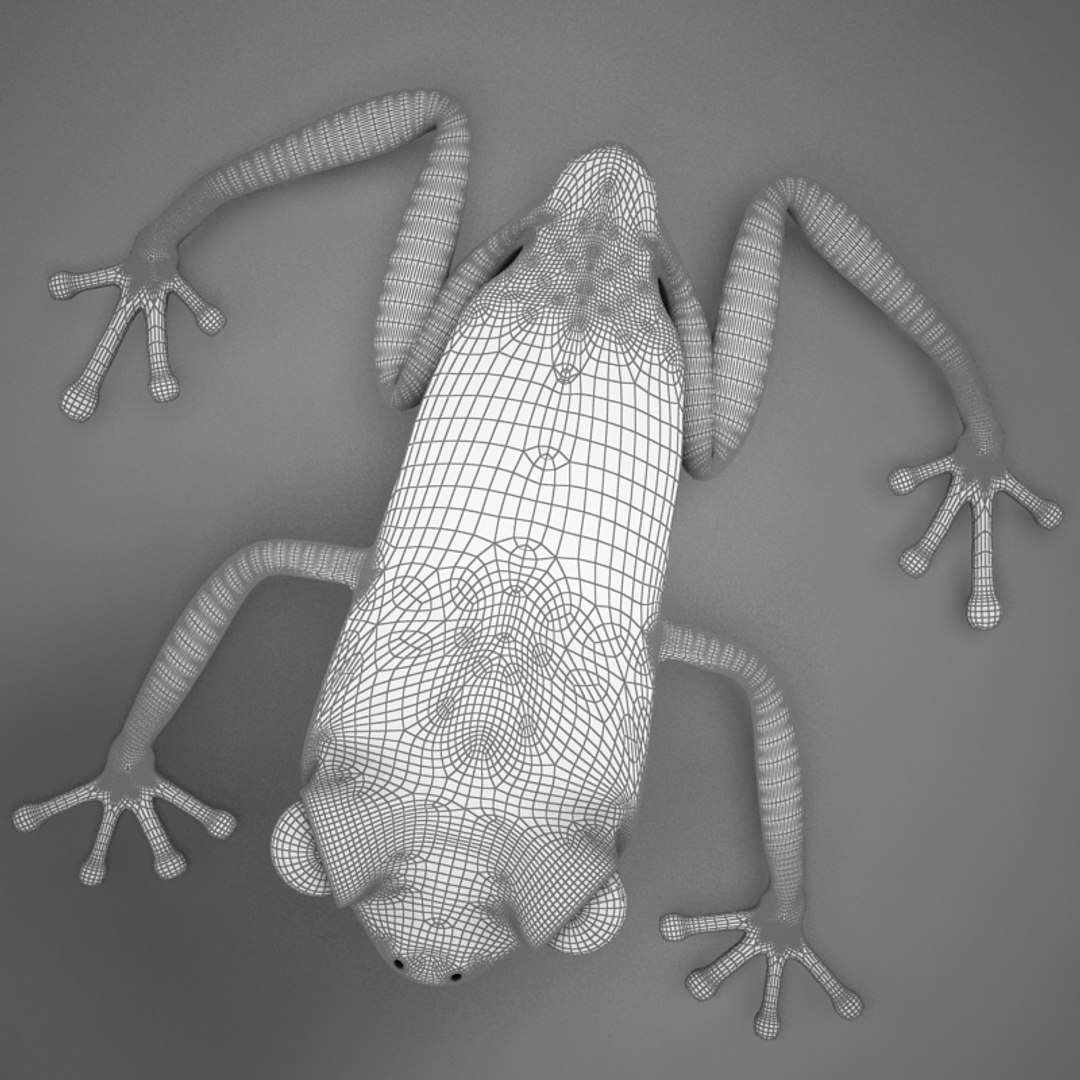 frog biped morph 3d model