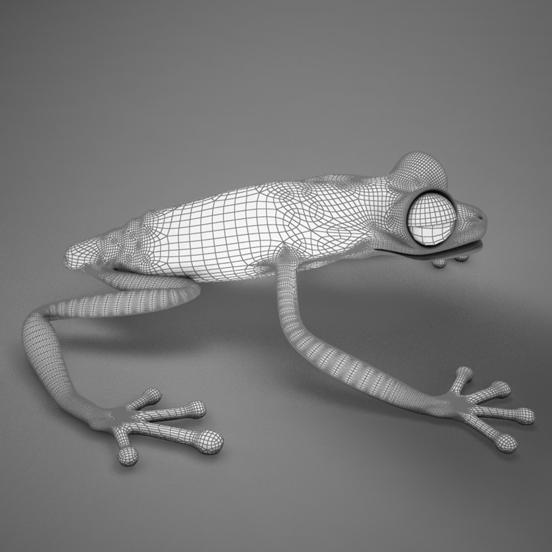 frog biped morph 3d model