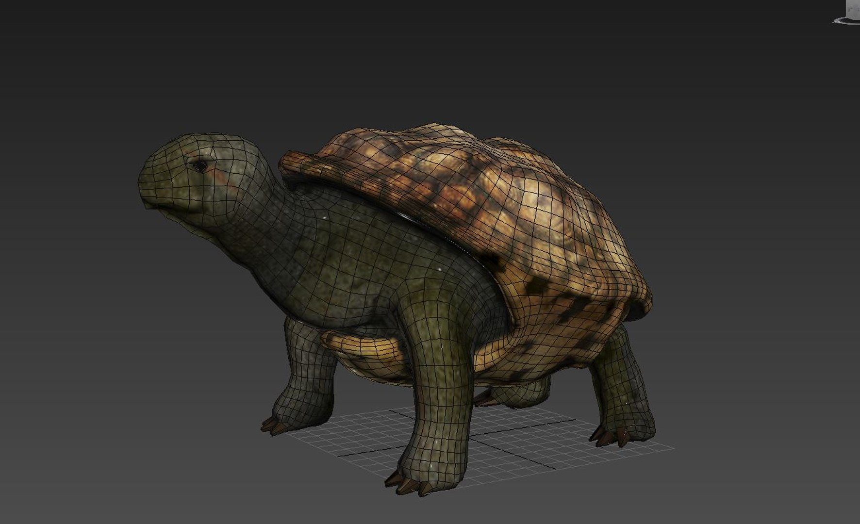 3d Turtle Games
