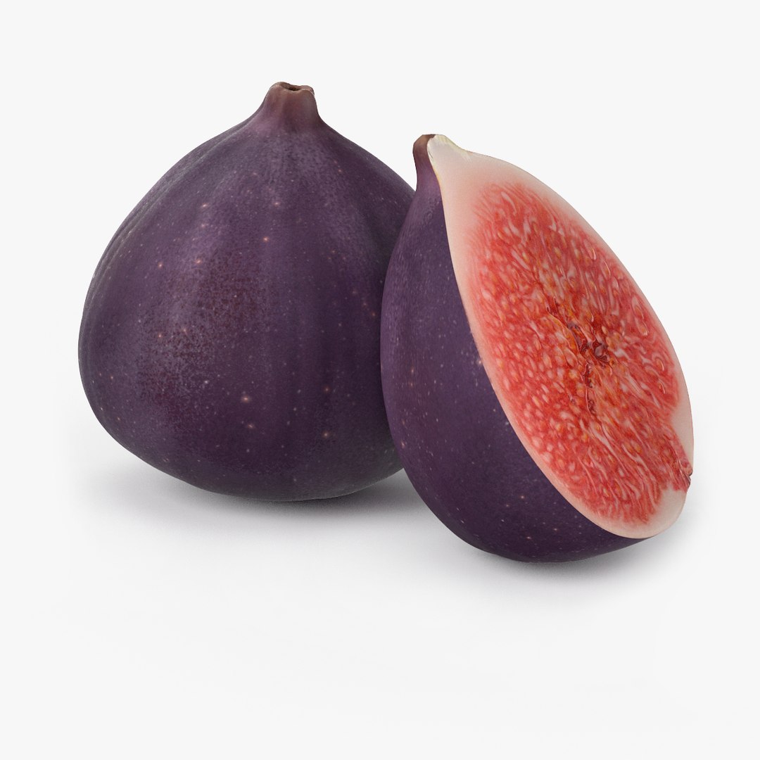 Realistic Figs Fruit Real Max