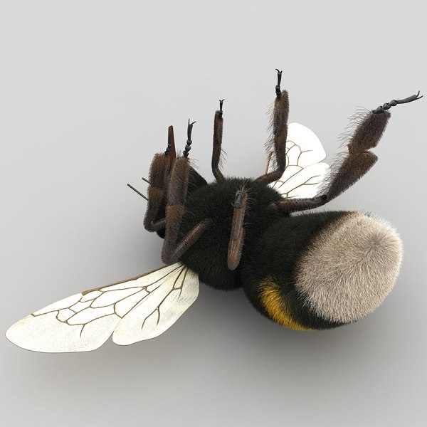 3d bumble bee fur model