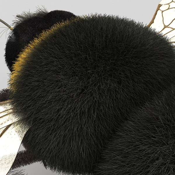 3d bumble bee fur model