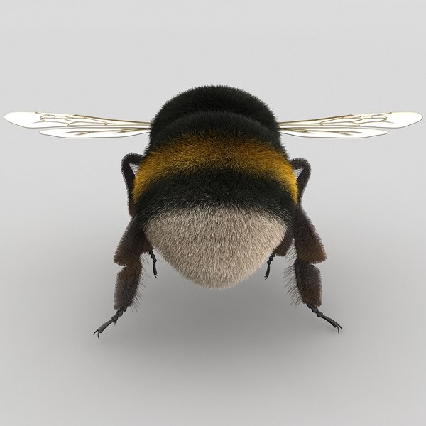 3d bumble bee fur model