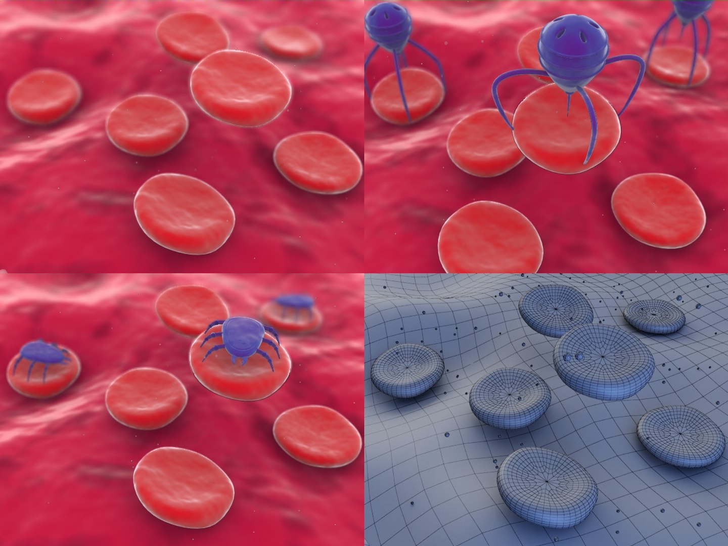 blood cells nanobots 3d max