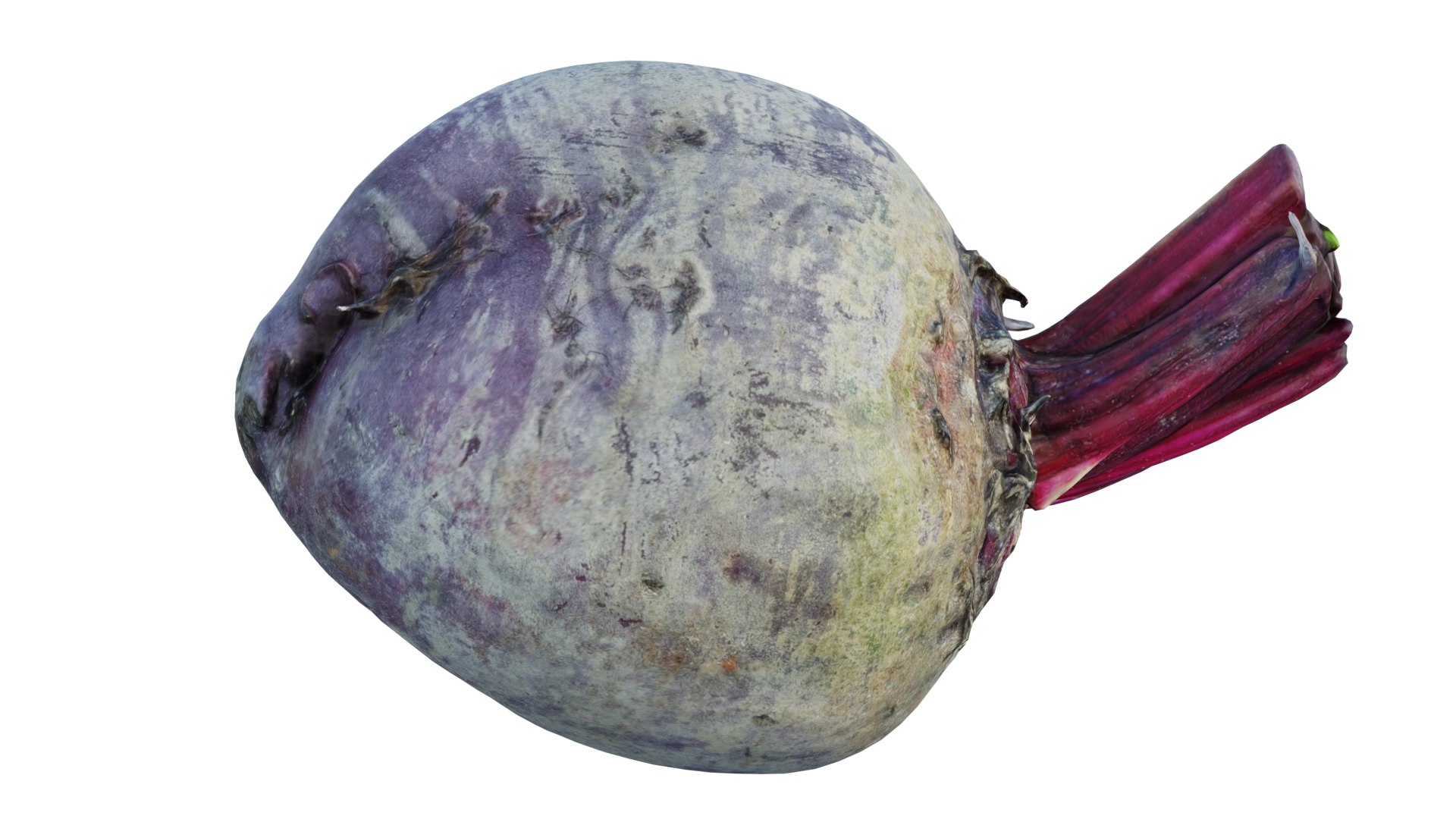 Beetroot 3D Model - TurboSquid 1899042