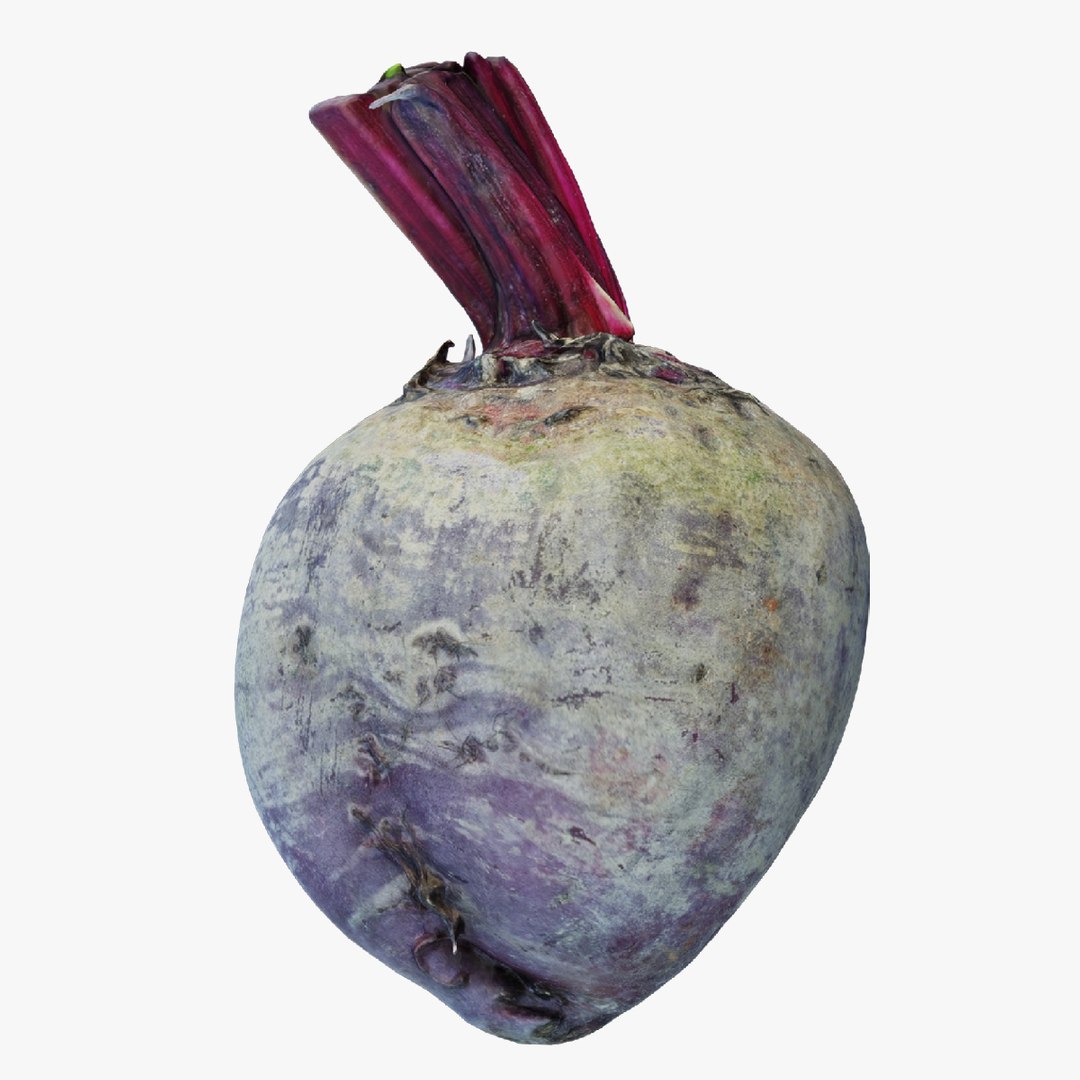 Beetroot 3D model - TurboSquid 1899042