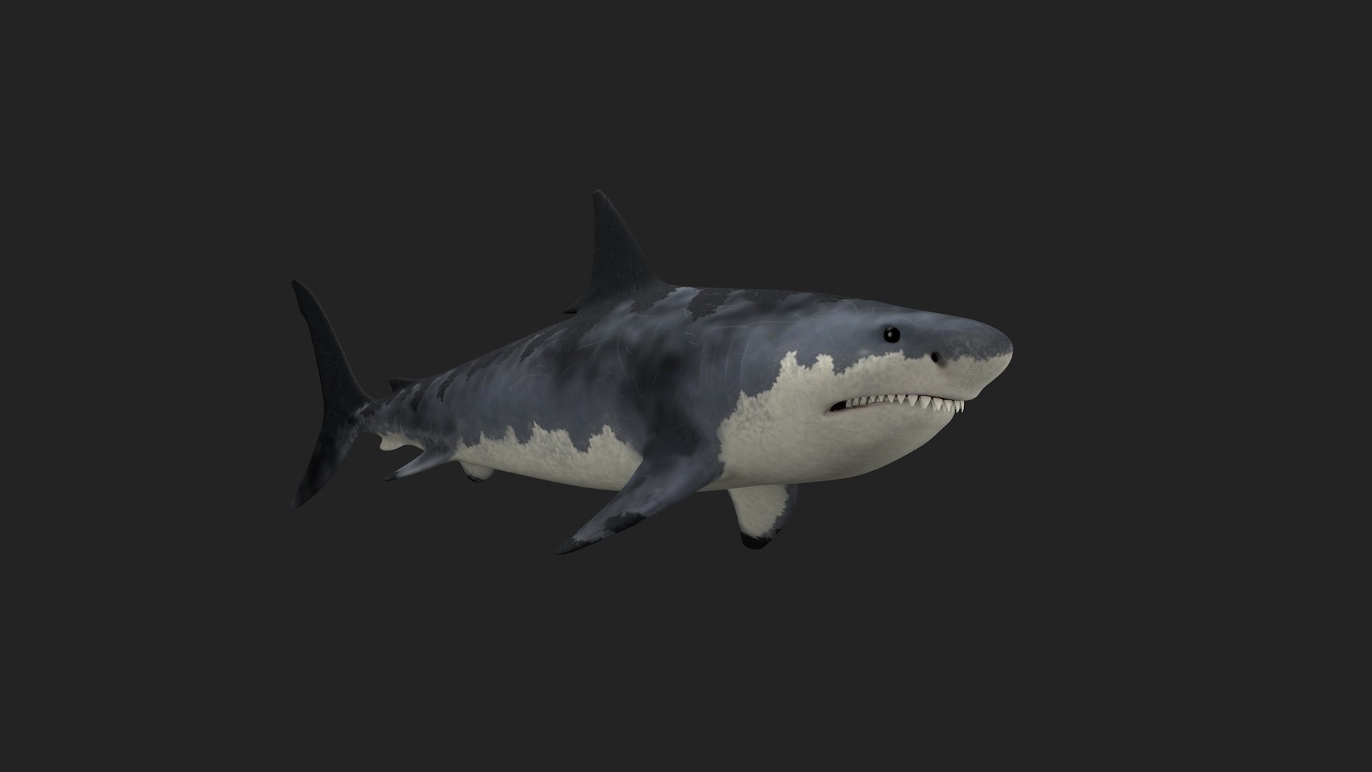Megalodon Dinosaur 3D Model - TurboSquid 2341623