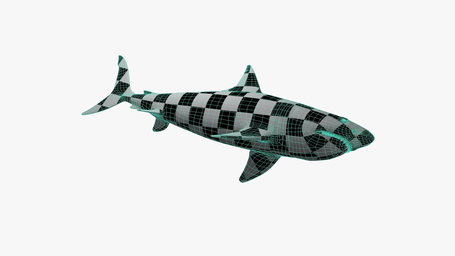 Megalodon Dinosaur 3D Model - TurboSquid 2341623