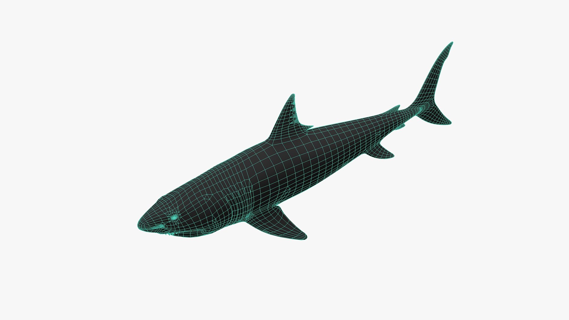 Megalodon Dinosaur 3D Model - TurboSquid 2341623
