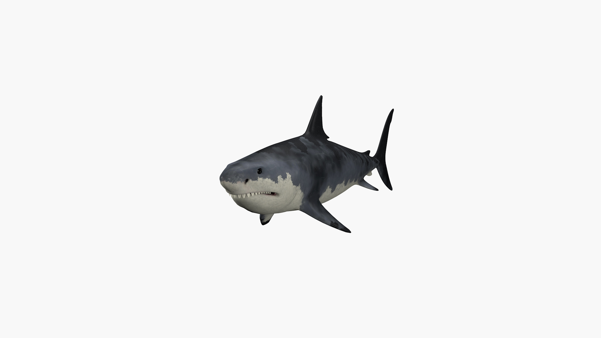 Megalodon Dinosaur 3D Model - TurboSquid 2341623