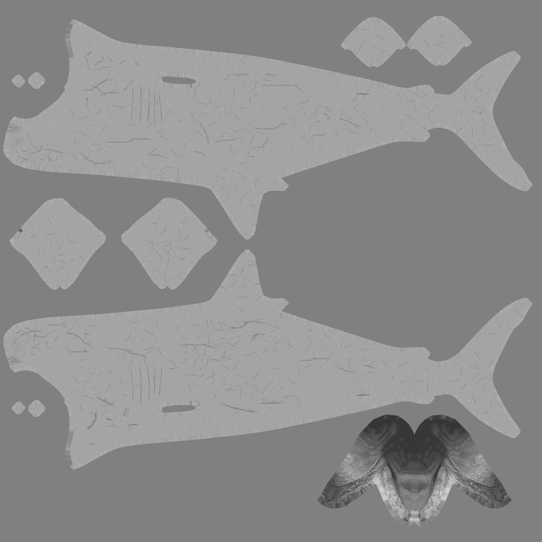 Megalodon Dinosaur 3D Model - TurboSquid 2341623