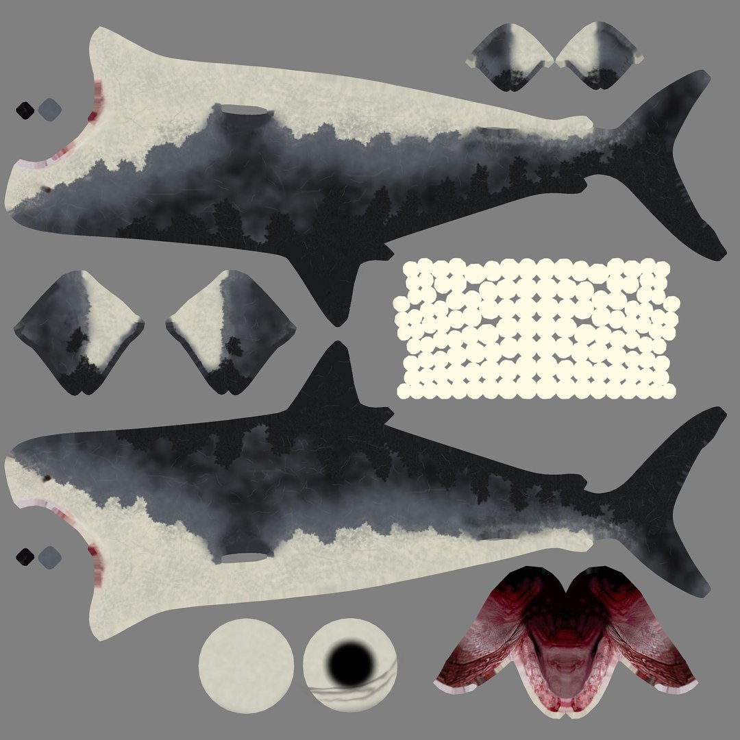 Megalodon Dinosaur 3D Model - TurboSquid 2341623