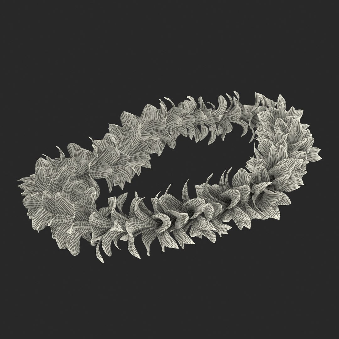 3d Hawaiian Lei 3