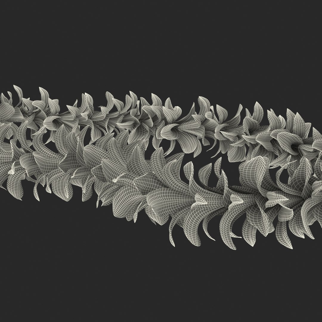 3d hawaiian lei 3
