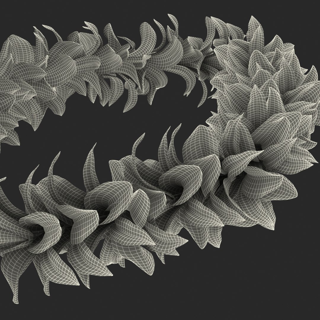 3d hawaiian lei 3