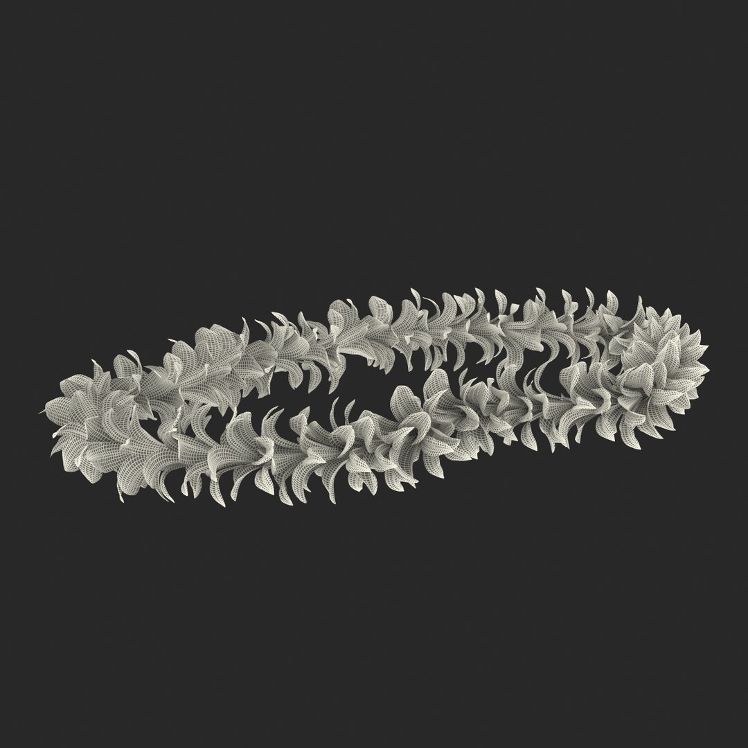 3d Hawaiian Lei 3