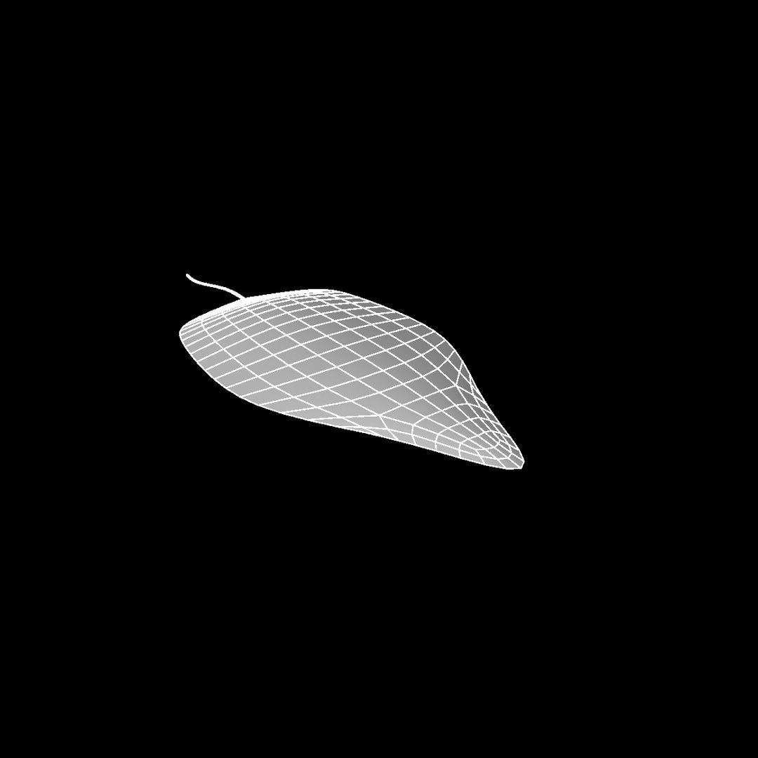Leaf Obj