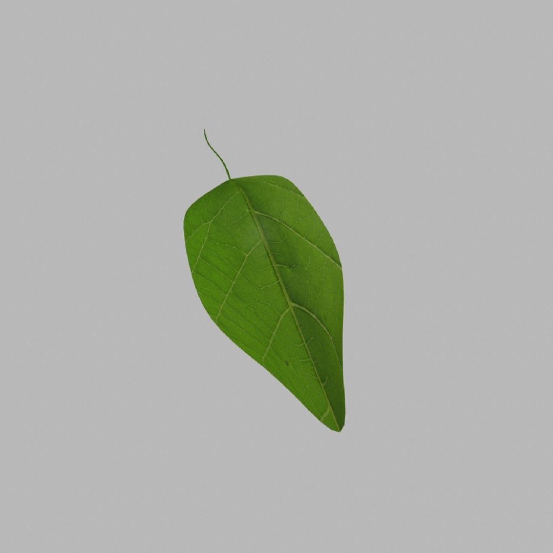Leaf Obj