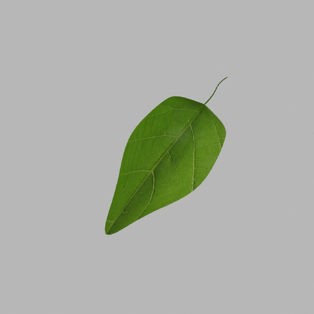 Leaf Obj