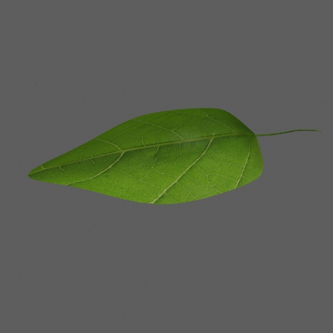 Leaf Obj