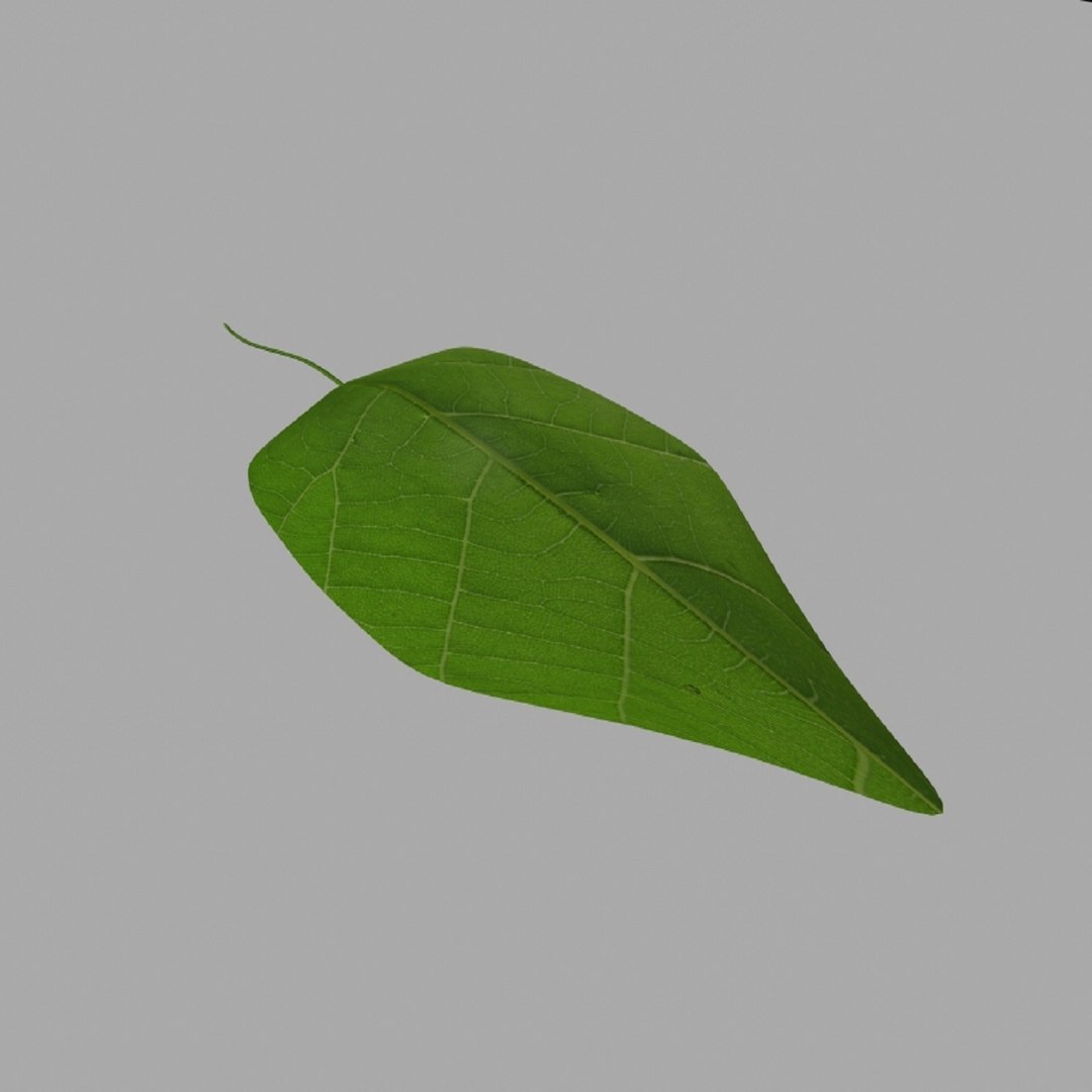Leaf Obj
