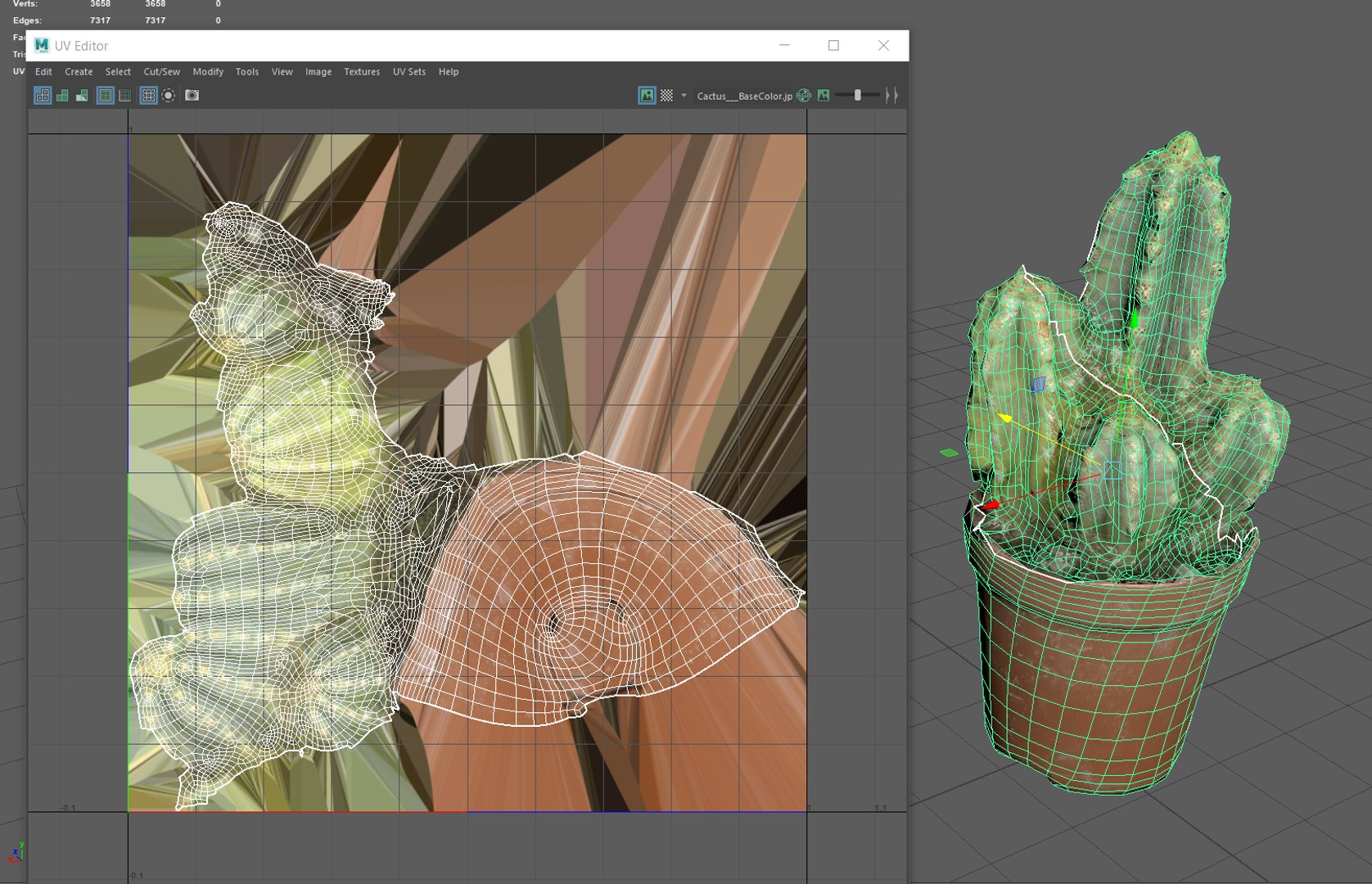 3D Cactus - TurboSquid 2061329