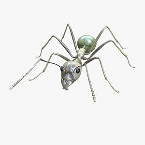 Invertebrate 3D Models for Download | TurboSquid