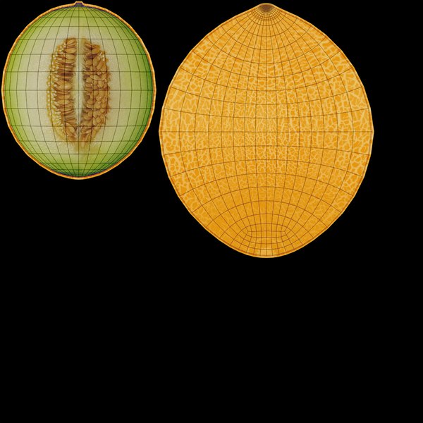 Realistic melon 03 3D model - TurboSquid 1183688