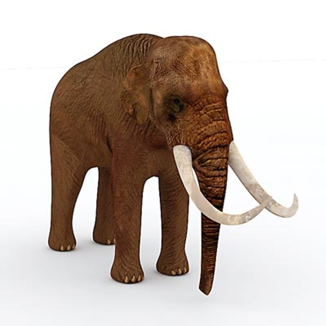 elephant animals large 3d model