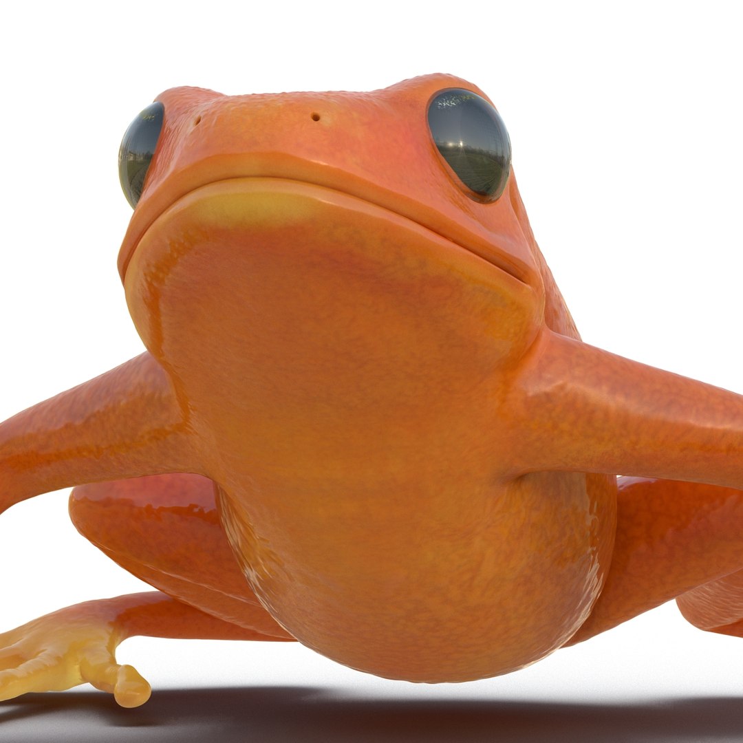 mantella frog pose 2 3ds