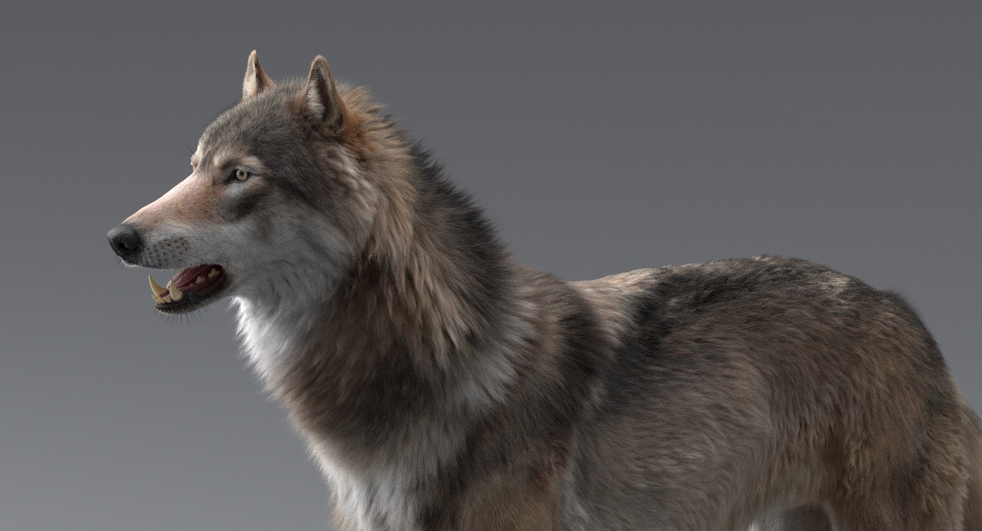 3D Wolf Model - TurboSquid 1406336