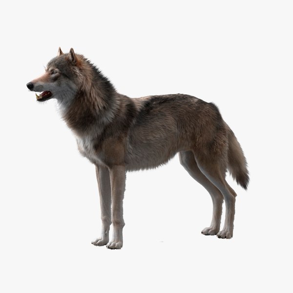 max rhinoceros rhino